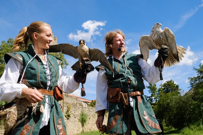 sokolnicka-chata-znojmo